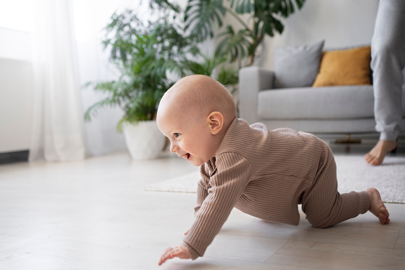 The First Year of Babies: Development Stages and Parent Guide - Zuzu's Blog